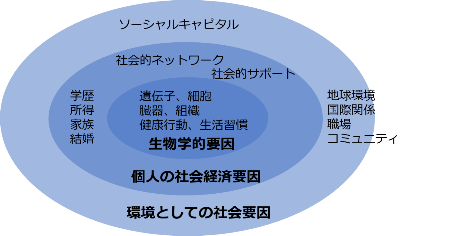 【公衆衛生】健康の社会的決定要因SDH